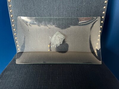 Reeds Jewlers / Jenss Decor 1980s Buffalo Glass Serving Tray | eBay