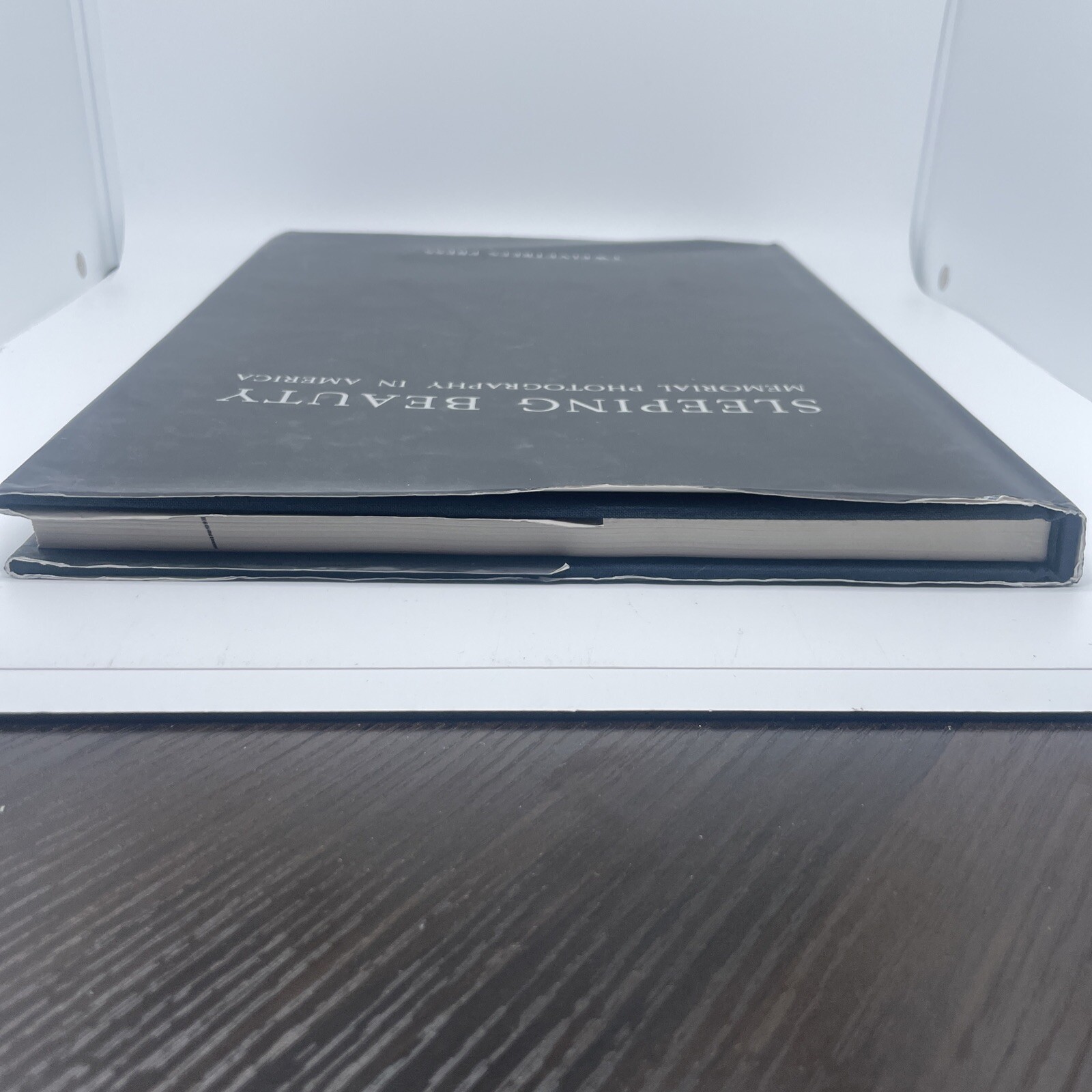 Sleeping+Beauty+by+Stanley+Burns+%281990%2C+Hardcover%29 for sale ...