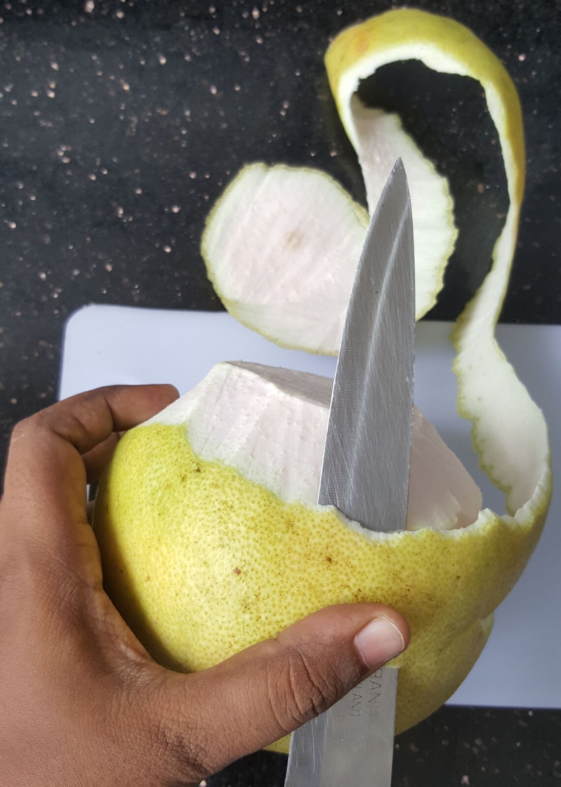 20 Pomelo tree seeds, Giant Grapefruit CEYLON Big Sweet Pummelo, Citrus ...