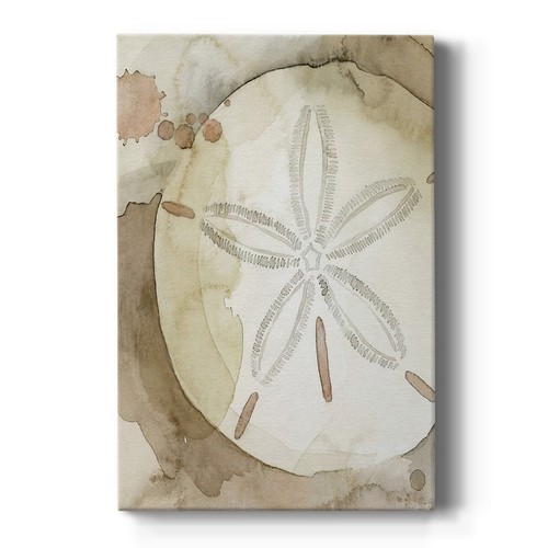Dry Sand Dollar II Premium Gallery Wrapped Canvas - Ready to | eBay