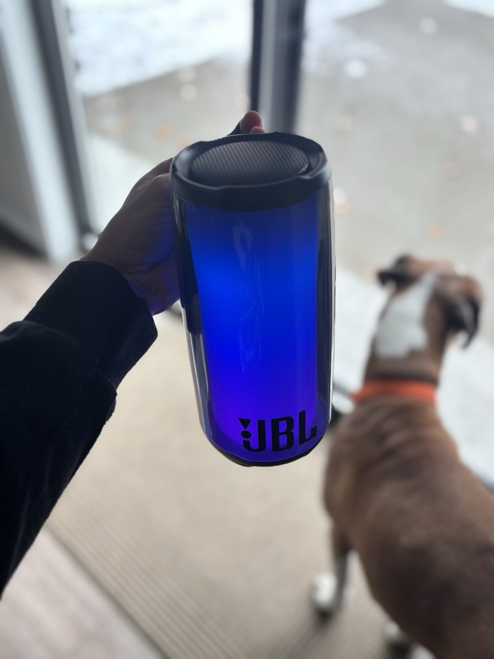 JBL Pulse 5 Style Portable Bluetooth Speaker Black Used Tested Working ...