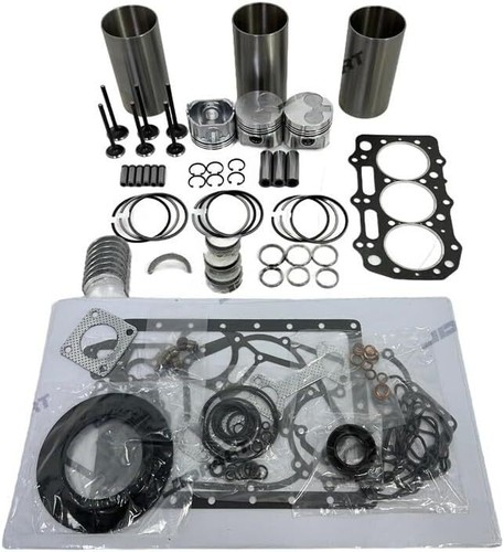Overhaul Rebuild Kit For Caterpillar CAT C1.1 Engine Rebuild Kit With ...