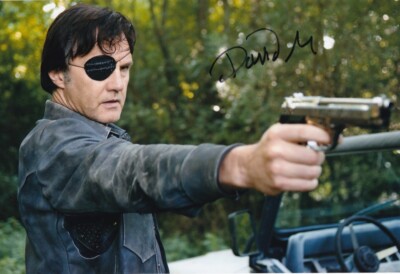 DAVID MORRISSEY signed Autogramm 20x30cm WALKING DEAD in Person ...
