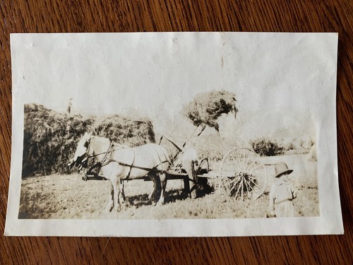 20s Threshing hay stack wheat harvest horse cart farm equipment girl ...