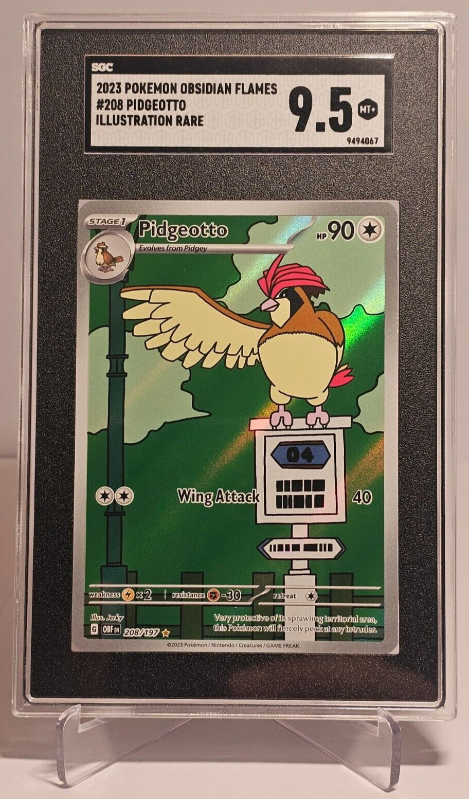 Pidgeotto 2023 Scarlet & Violet: Obsidian Flames #208/197 Illustration ...