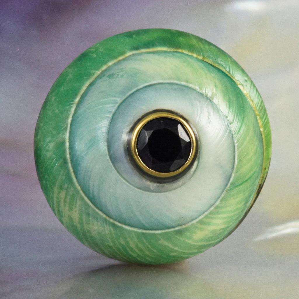 Evil Eye Design Natural Green Land Snail Asperitas bimaensis Black ...