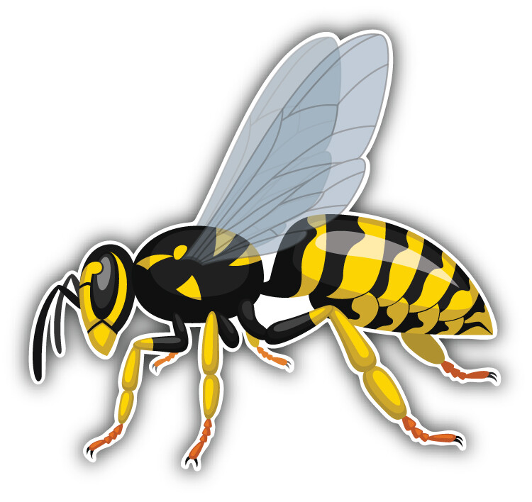 Autoaufkleber Biene K4843 Sticker-12cm | eBay.de