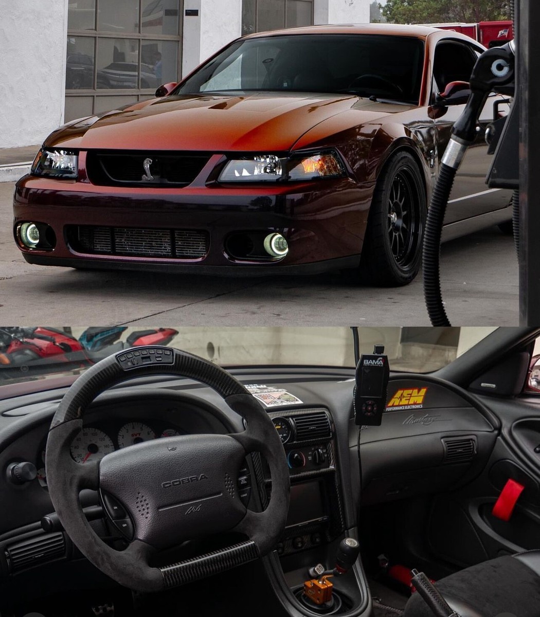 Mustang Terminator Wallpaper