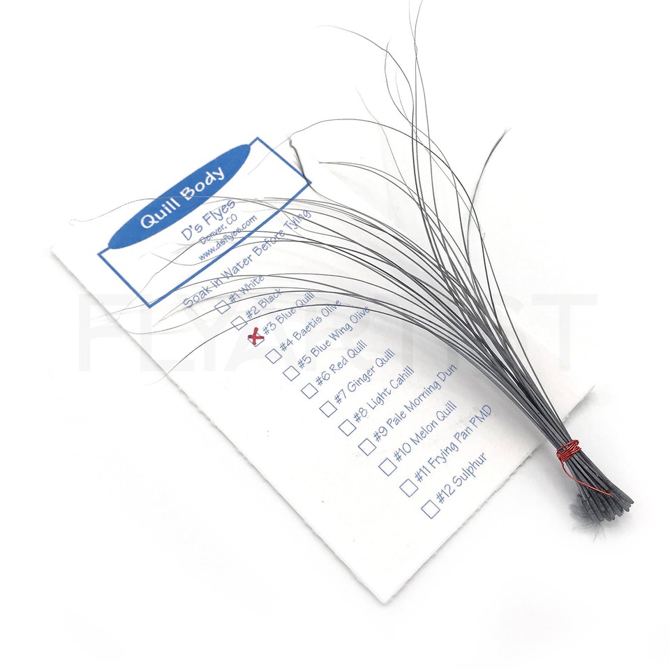 QUILL BODY - Fly Tying Material Ribbing BWO Rib Bodies D's Flyes - 25 ...
