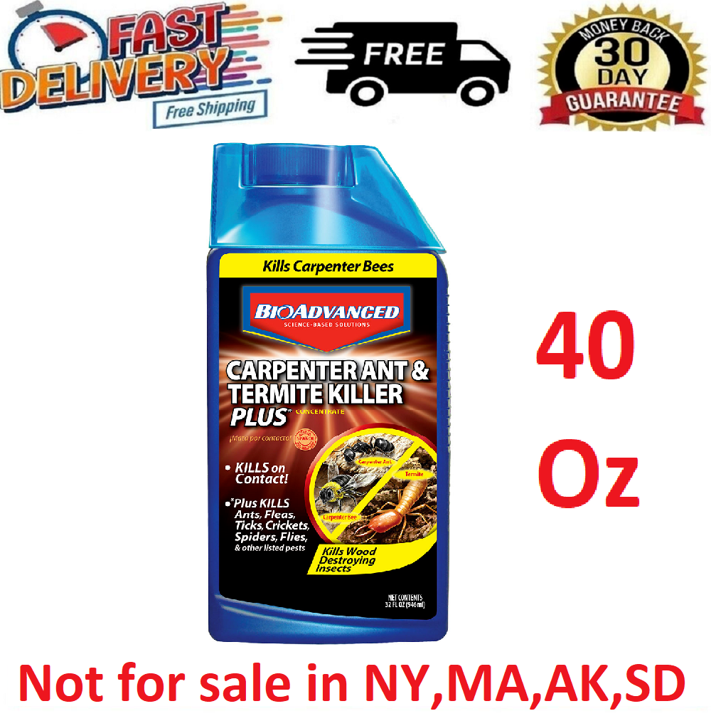 Bayer Termite And Carpenter Ant Killer Carpenter Ant & Termite Killer