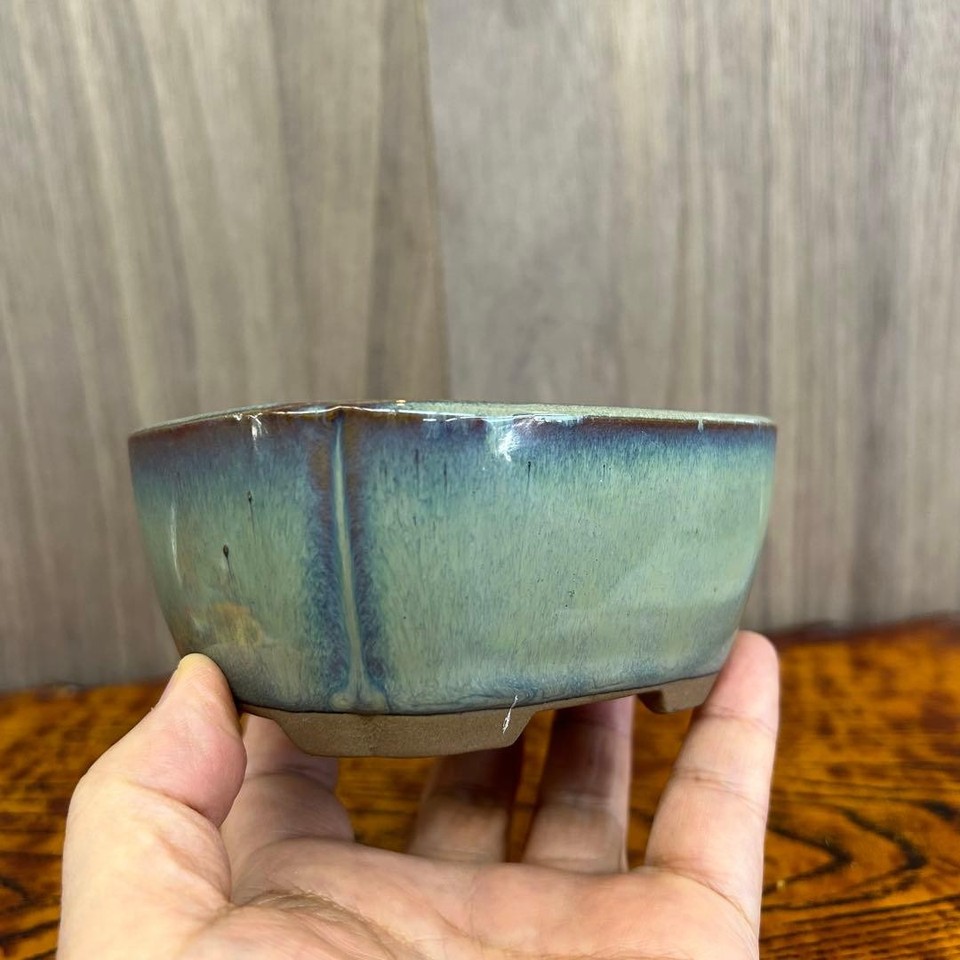 Showa Mini Bonsai Pot Small Plant Pot Vintage Japanese Style | eBay UK