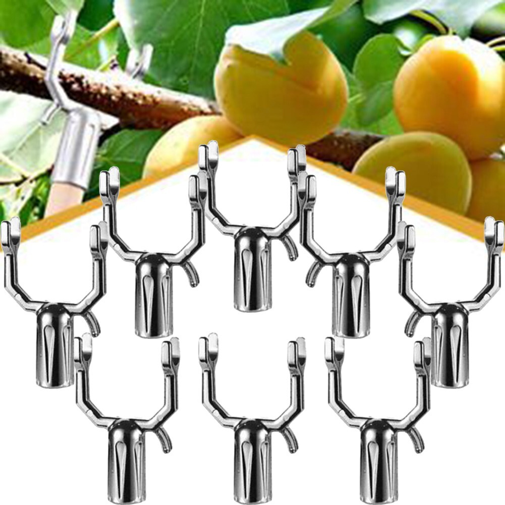 Branch Support Easy To Install Fruit Tree Branch Crutch It Is Safe ...