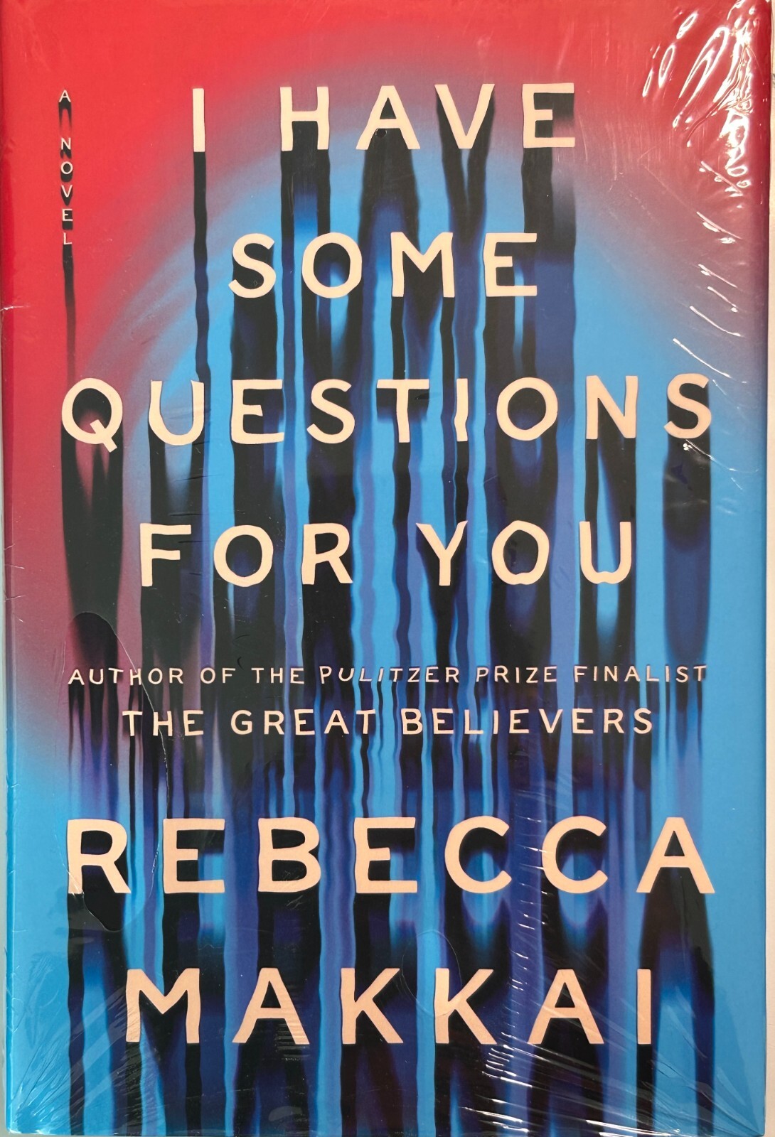 I Have Some Questions for You : A Novel by Rebecca Makkai (2023 ...