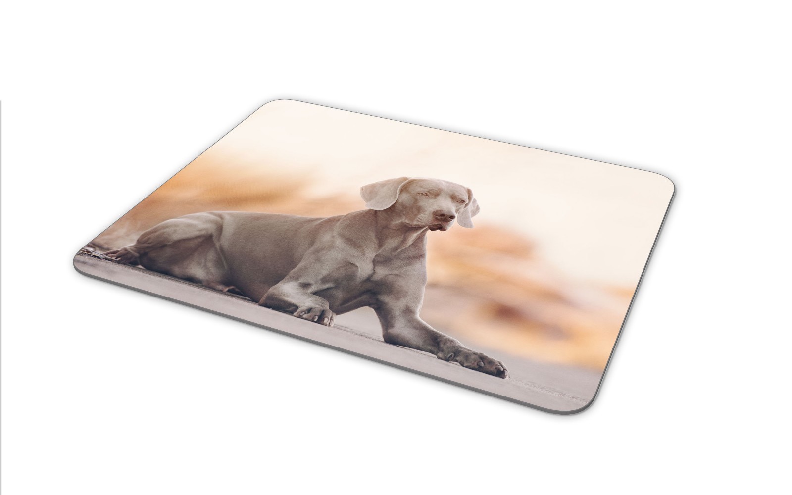 Magnificent Weimaraner Dog Mouse Mat Pad - Exotic Breed Computer Gift ...