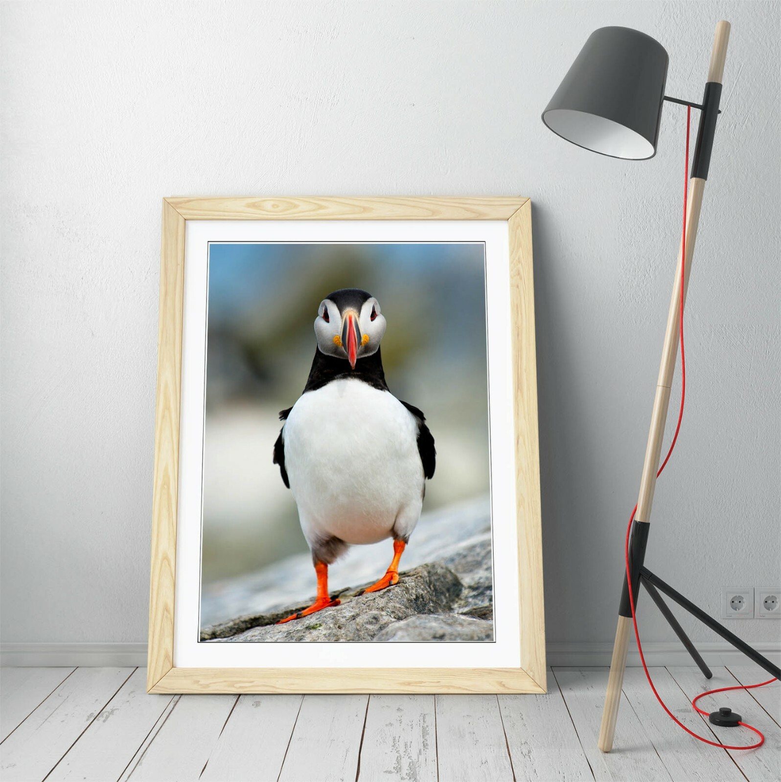 PUFFINS 3 CANVAS WALL ART FLOAT EFFECT/FRAME/PICTURE/POSTER PRINT ...