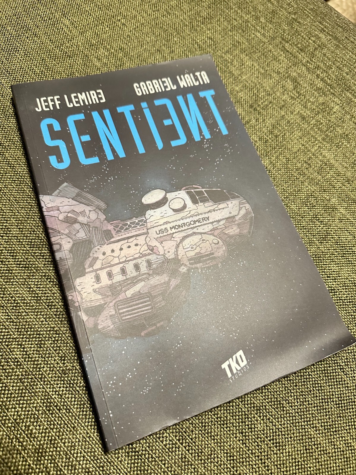 Sentient by Jeff Lemire (TKO Studios) independent comics graphic novel ...