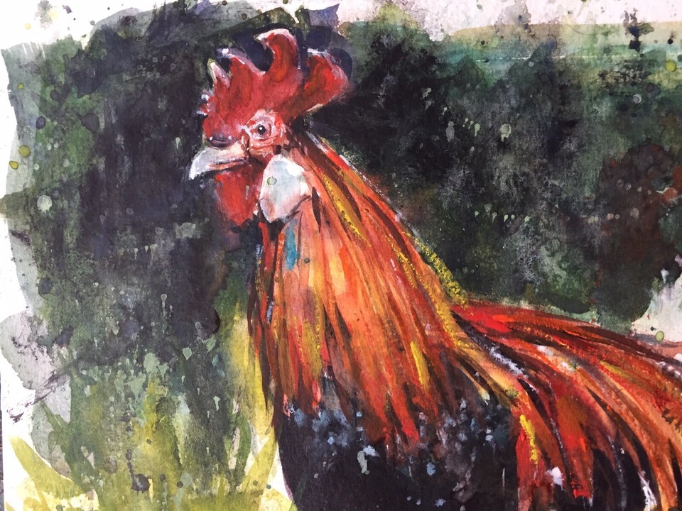 Original Watercolor Painting Gallo 9" X 12" NOT A PRINT | eBay