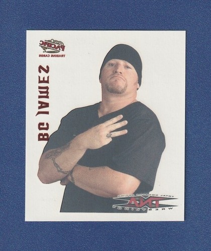 BG JAMES 2004 Pacific TNA Wrestling Tattoo Card Road Dogg Brian James B ...