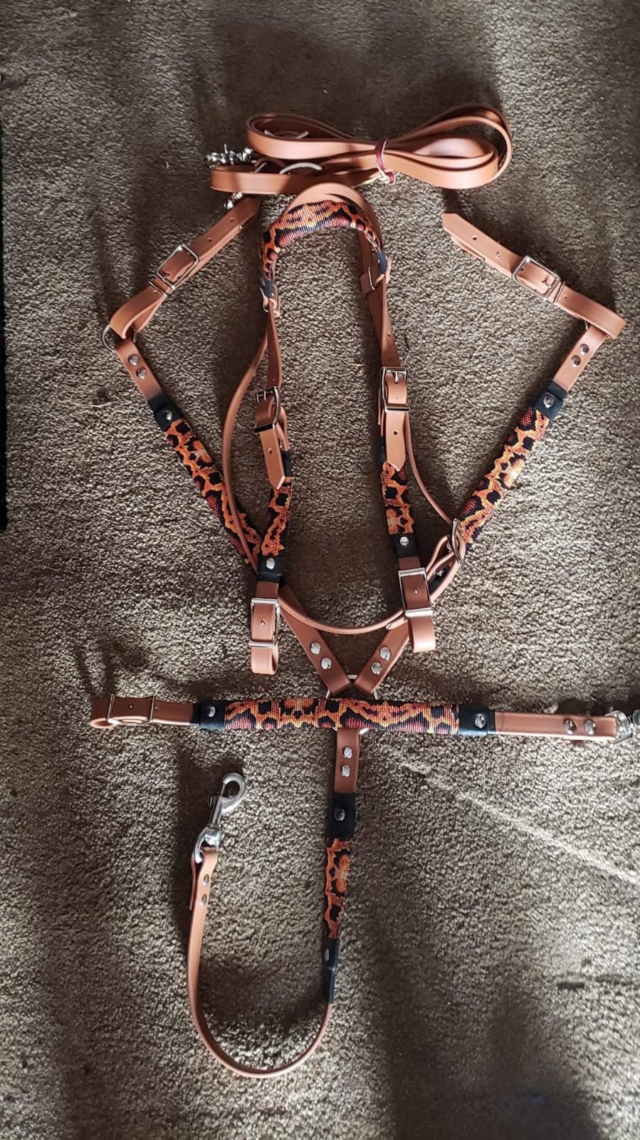 Custom Biothane Tack Set - Headstall & Breast collar | eBay