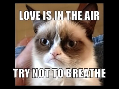 Love Is In The Air Try Not To Breathe Grumpy Cat Refrigerator Fridge ...