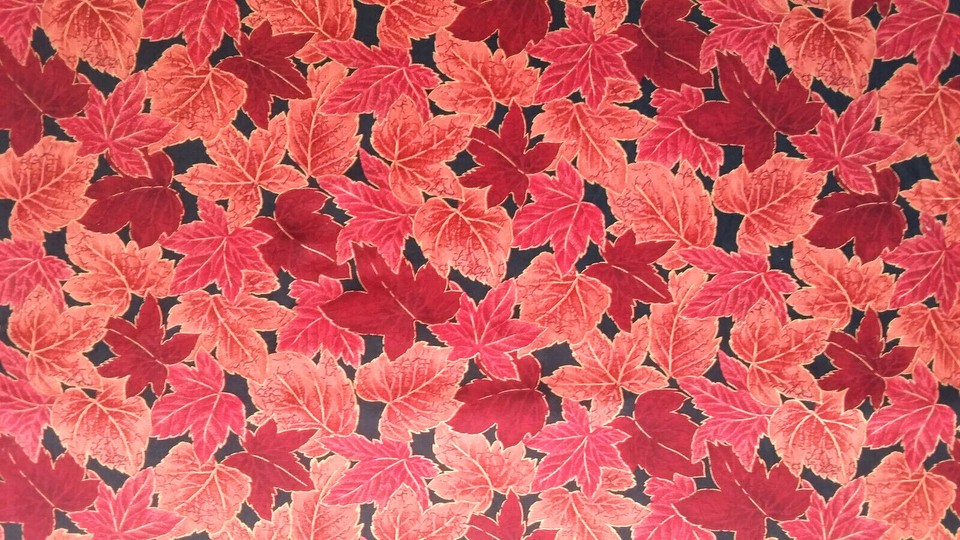 RED FALL LEAVES METALLIC GOLD ACCENT KONA BAY COTTON SEW QUILT CRAFT ...