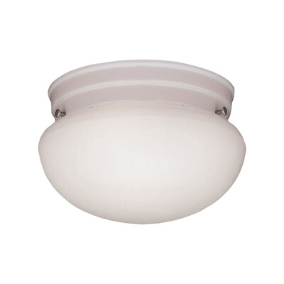 Thomas Lighting Essentials Traditional 12-inch Ceiling Light - SL3288 ...