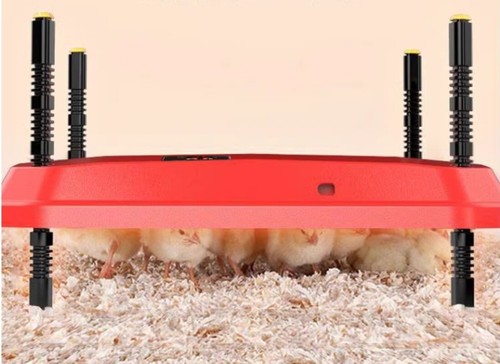 Chick Heating Plate Brooder Warmer Chicken, Duck, Goose, Quail Warming ...