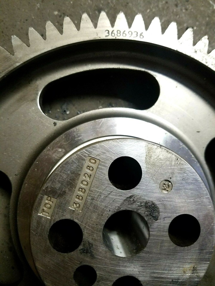 CUMMINS IDLER GEAR 3686936 WITH 3880280 | eBay