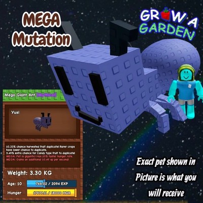 MEGA Giant Ant. Age/Weight Shown In Photo. Grow A Garden. Same Day | eBay