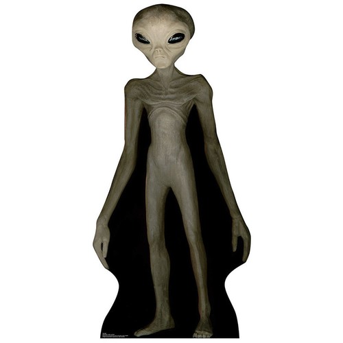 ALIEN Lifesize CARDBOARD CUTOUT Standup Standee Poster Extraterrestrial ...