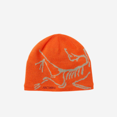 Arc'teryx Bird Head Toque Phenom, (100% Authentic) | eBay Australia