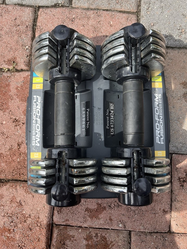 ProForm PFSAW2514 25lbs Adjustable Dumbbell Set - Silver/Black ...