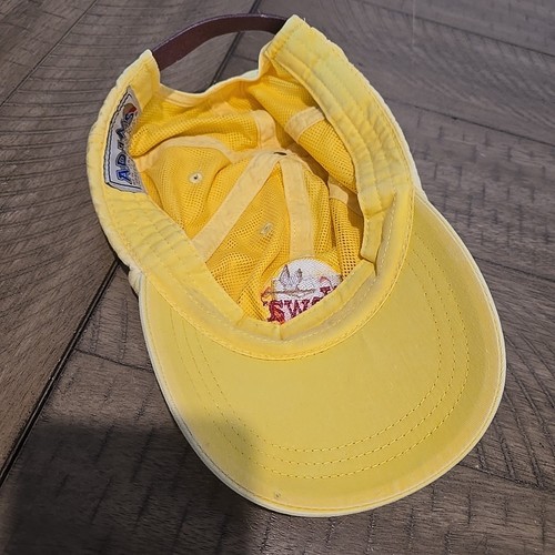 Wawa Dad Hat Cap Adjustable Strapback Embroidered Logo Wally Goose ...