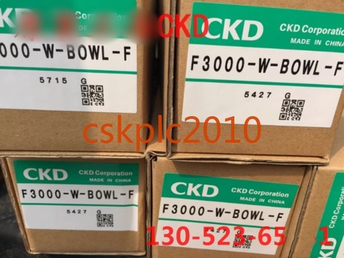 1 PCS NEW IN BOX CKD Air filter F3000-W-BOWL-F | eBay