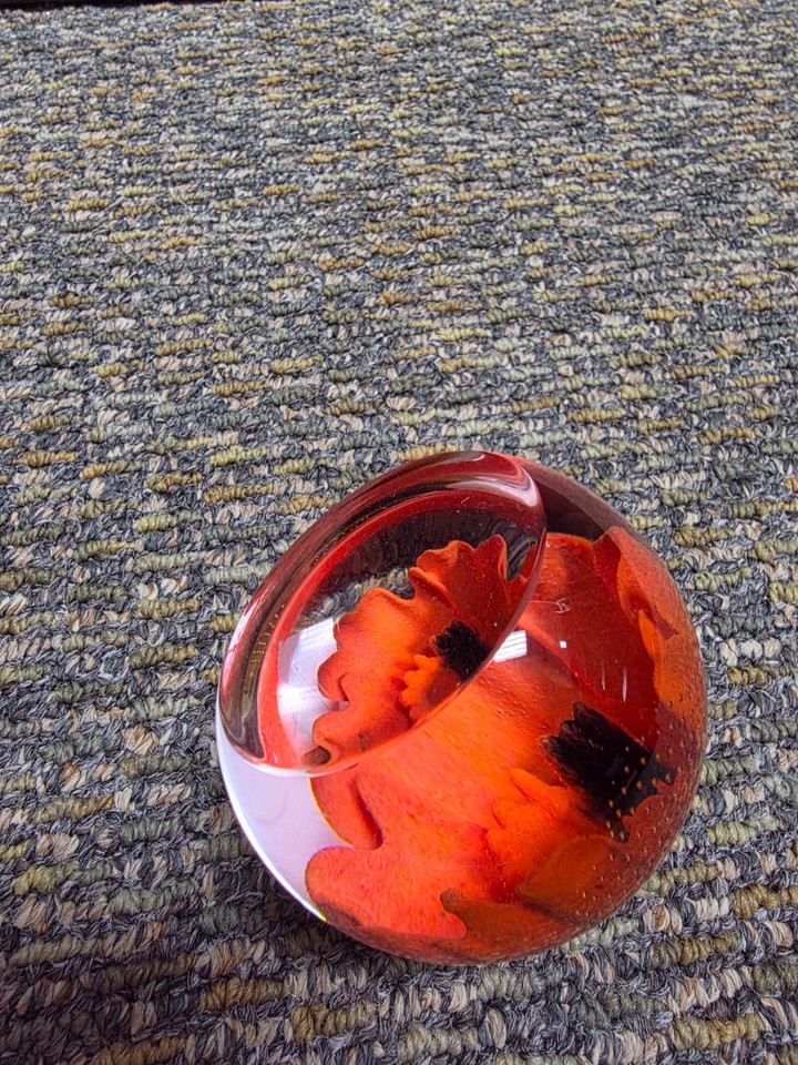 Beautiful! Orange flower Caithness paperweight. Great gift 🎁 | eBay