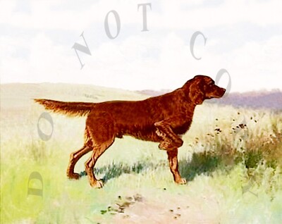 ANTIQUE BIRD HUNTING REPRODUCTION 8X10 PHOTO PRINT IRISH SETTER POINTER ...