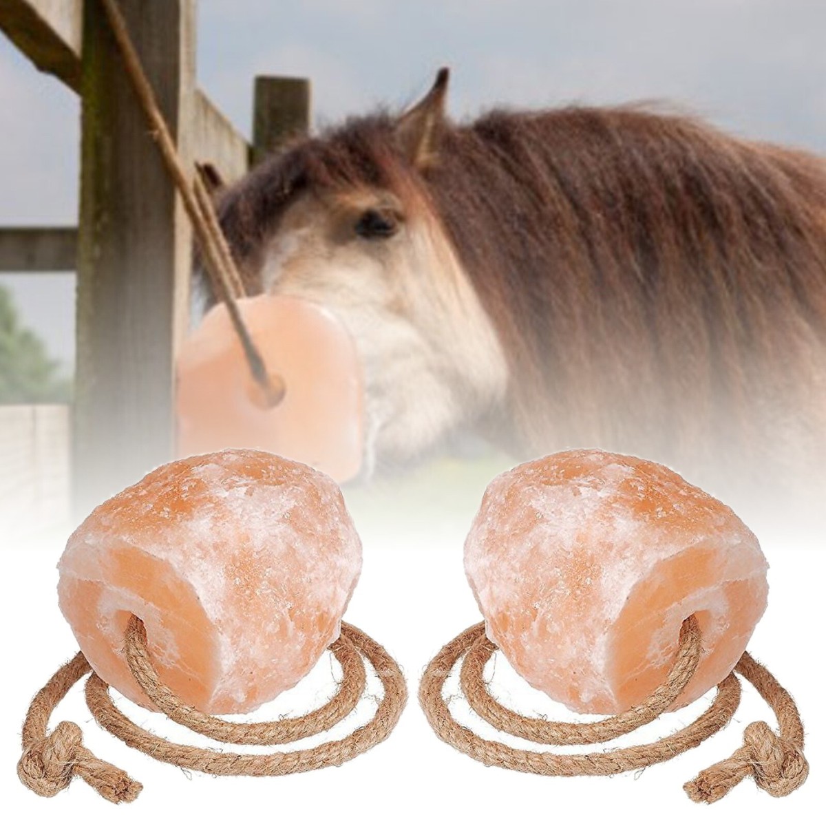Deer Salt Lick