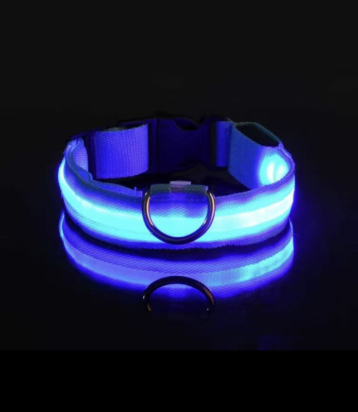 1 Dog LED Collar Blinking Night Flashing Light Up Glow Adjustable Pets ...
