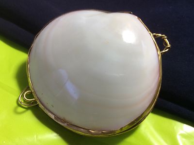 White Clam Sea shell Brass Hinged Snuff Pill coin Jewelry Trinket Box ...