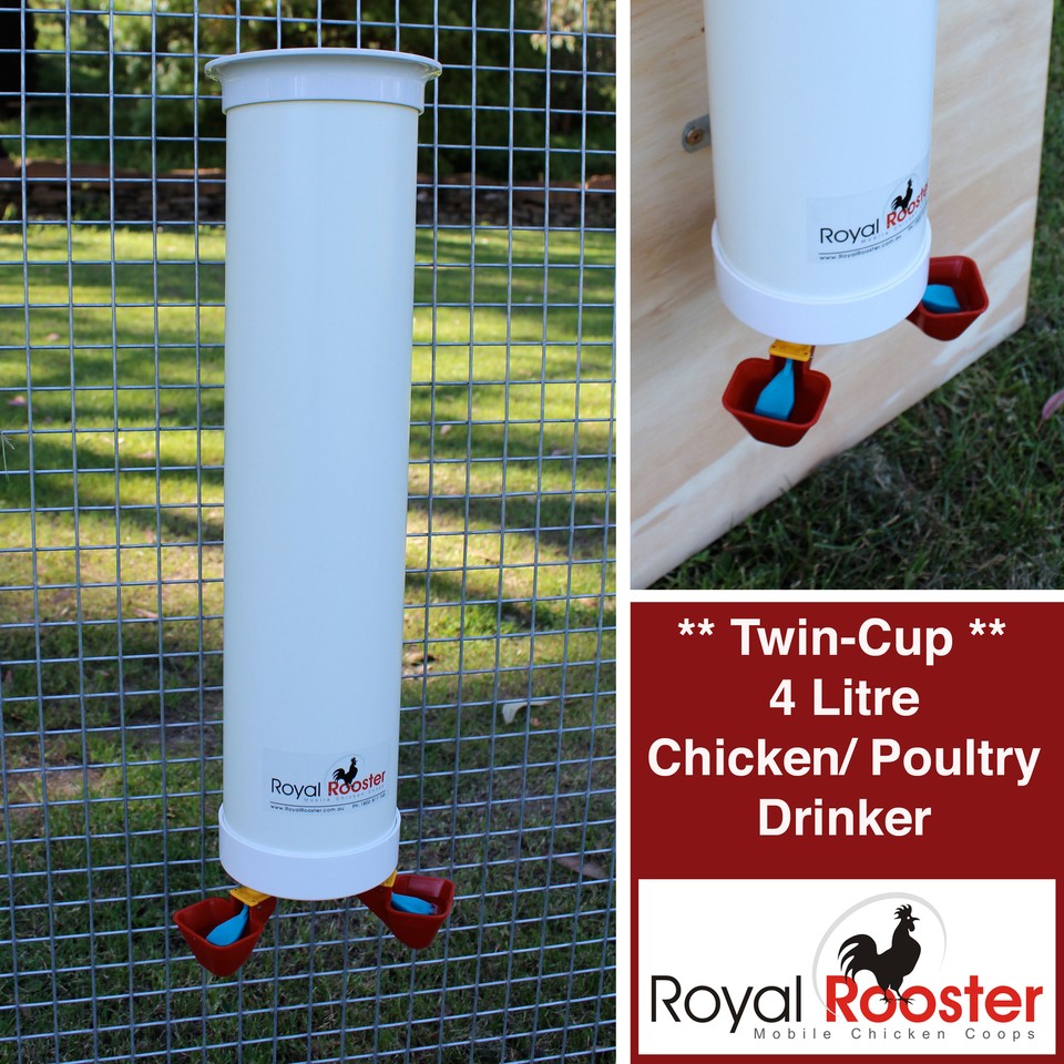 ROYAL ROOSTER Chicken / Poultry Coop - Single Waterer / Drinker with ...