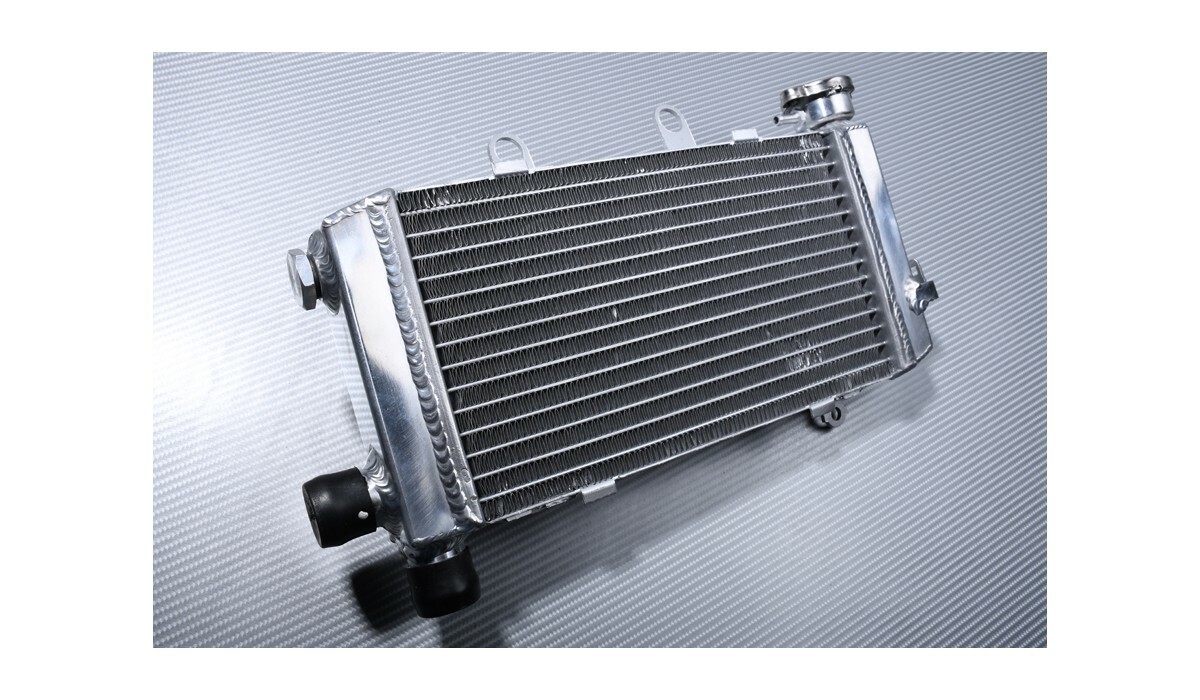 RIGHT Racing Replacement Radiator Water Cooler HONDA VTR 1000 F 1997 ...