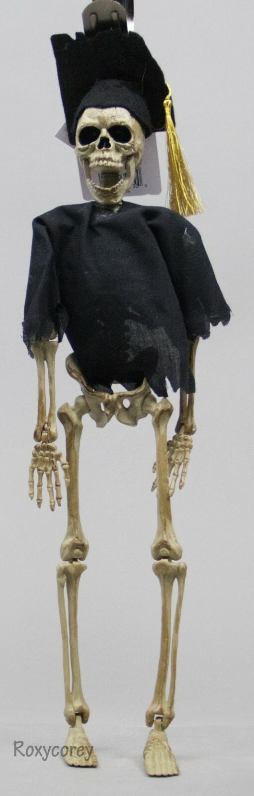 Halloween Graduate Dressed Up Skeleton Hanging Decoration 16 in Long ...