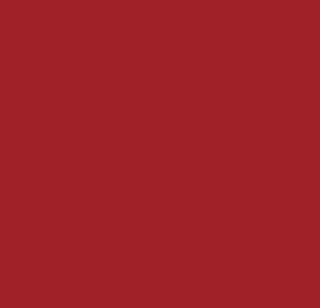 2 PACK Car Body Paint RAL3001 SIGNAL RED 1L 2K | eBay UK