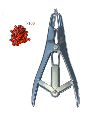 Cattle - Beef - Castration Tool