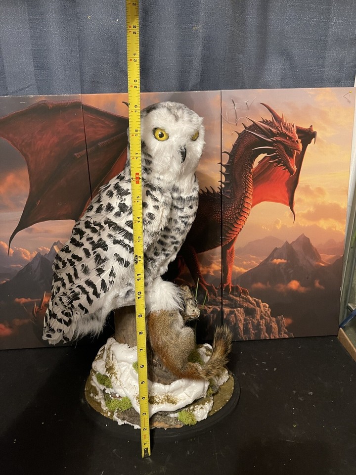 Reproduction Owl Replica Bird Exotic Faux Synthetic Taxidermy | eBay