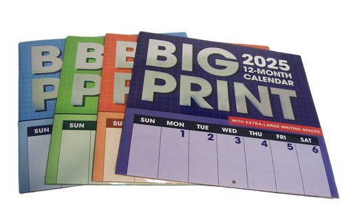 2025 Large Print Big Blocks Wall Calendar For Appointments Notes ...