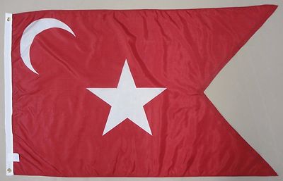 South Carolina Secession 1861 Indoor Outdoor Historical Dyed Nylon Flag ...