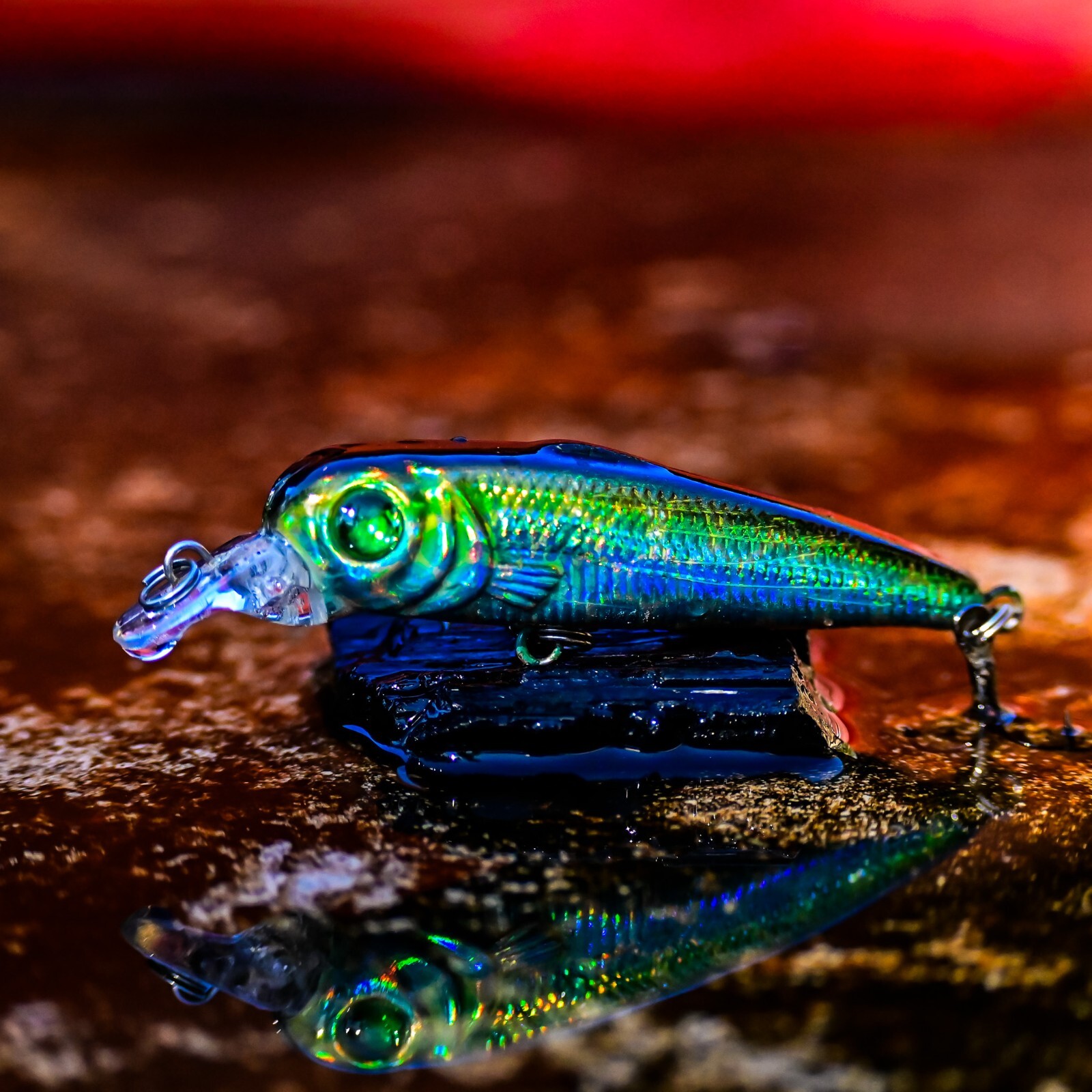 Tailor Lure Bass Bream Flathead Redfin Perch Yellowbelly Trout Salmon ...