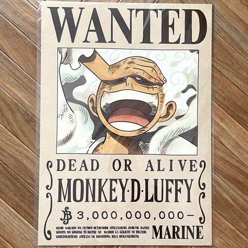 One Piece Luffy Mugiwara Store Navy Wanted Poster Straw Hat 420×297mm ...