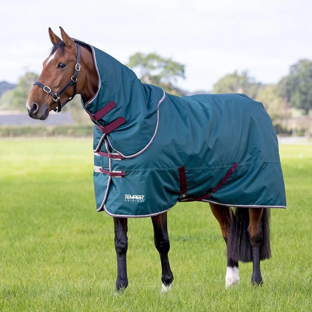 Tempest Turnout Rugs | Bryont Blog